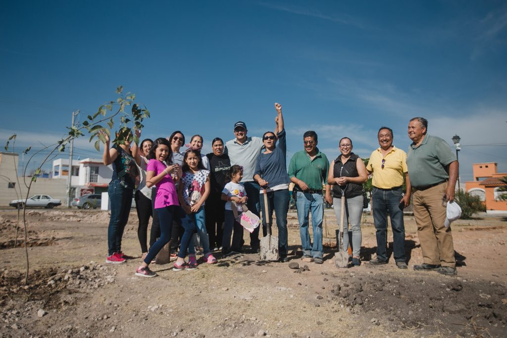 2 MIL 400 ÁRBOLES PLANTADOS CON EXITOSA SEMANA DE REFORESTACIÓN “PLANTA ...